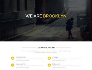 8+ Best One Page WordPress Themes – Webtimiser