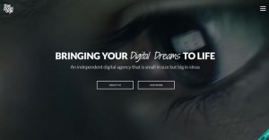 Ghost Buttons mit CSS - WordPress Agentur webtimiser